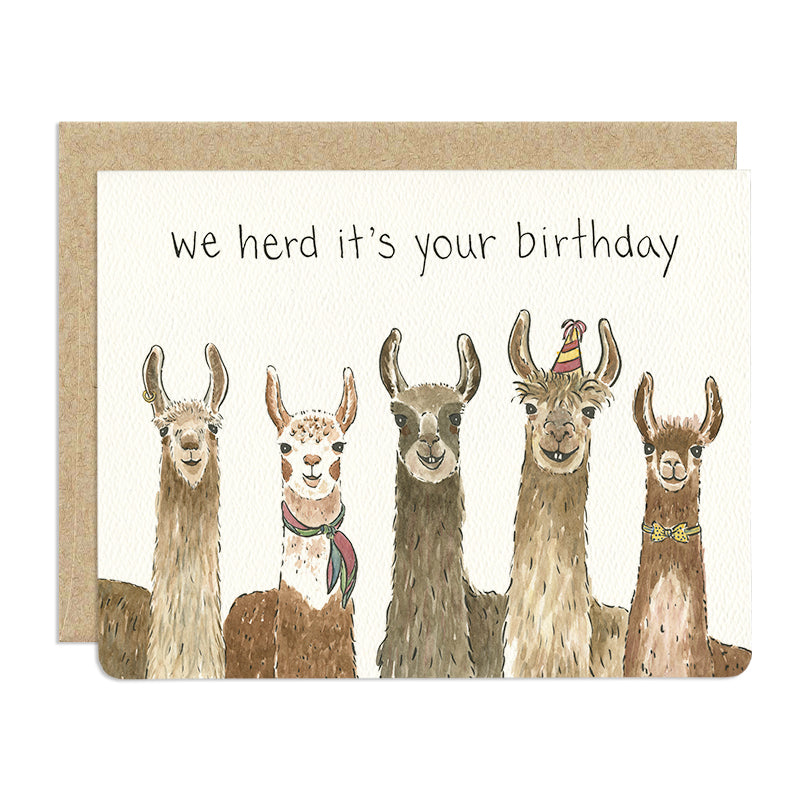 Llama Birthday Card – Silver Antelope