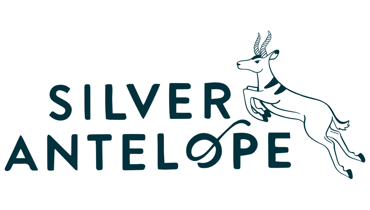 Home Goods – Page 2 – Silver Antelope